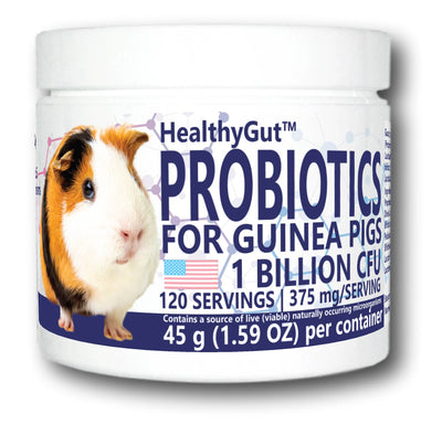 HealthyGut™ Probiotics for Rabbits – Equa Holistics