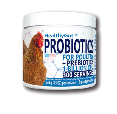 HealthyGut™ Probiotics for Rabbits – Equa Holistics