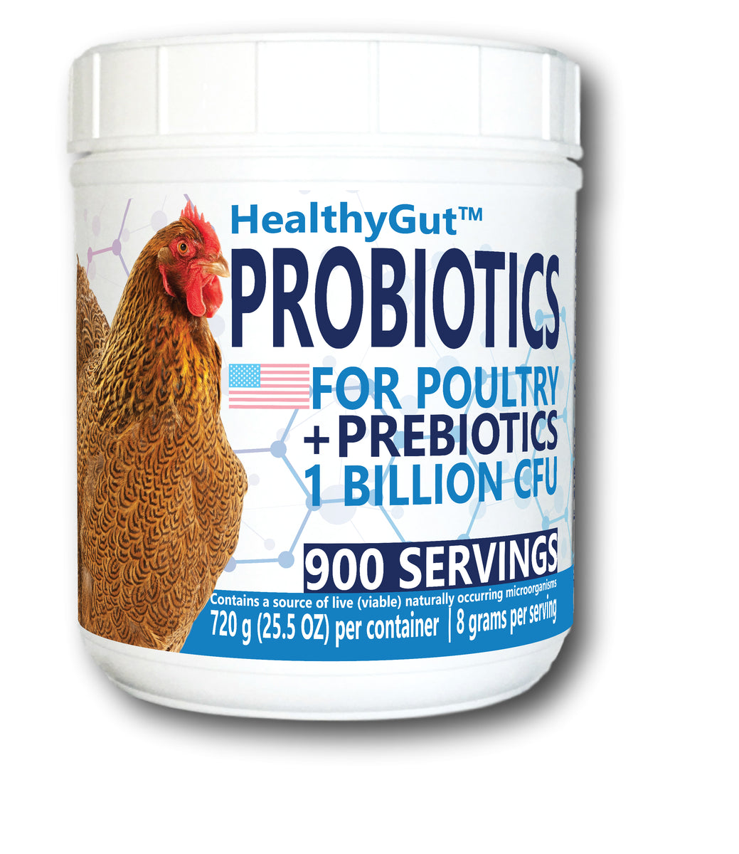 HealthyGut™ Probiotics for Poultry – Equa Holistics